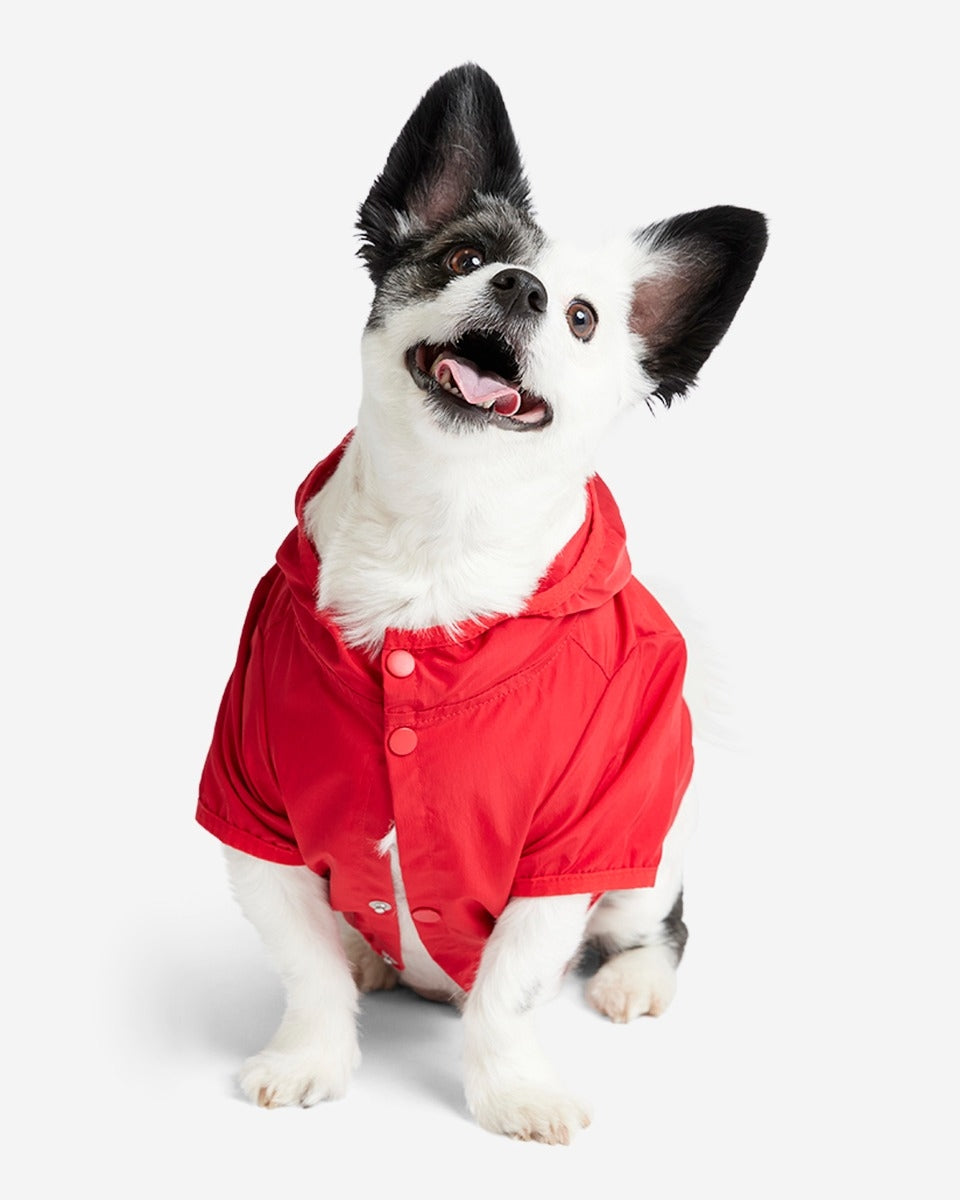 LFC Dog Coat – Weston Corporation