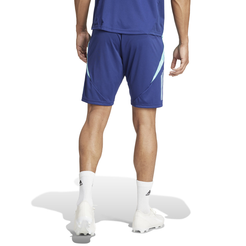 Arsenal Adult 2024-25 Training Shorts – Weston Corporation