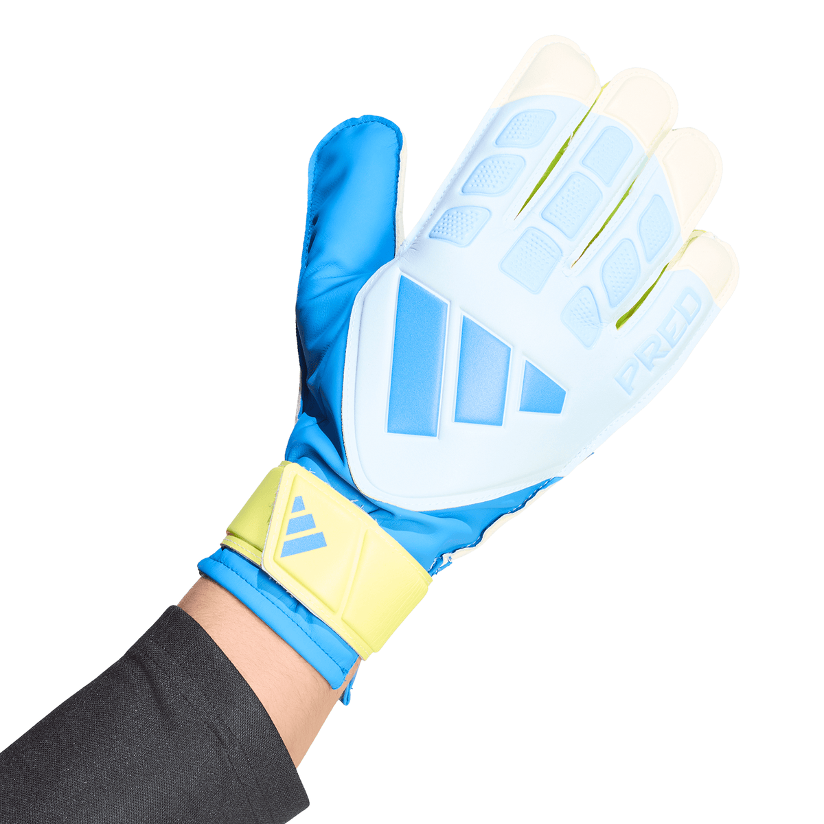Predator Training Glove 'Ice Cold Precision Pack' – Weston Corporation