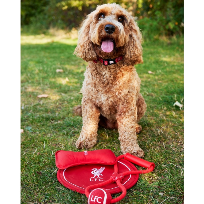 LFC Dog Toy Set – Weston Corporation