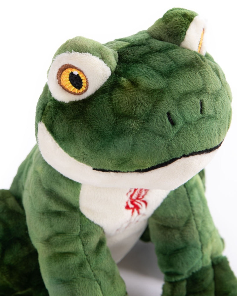 LFC Frog Plush Toy – Weston Corporation