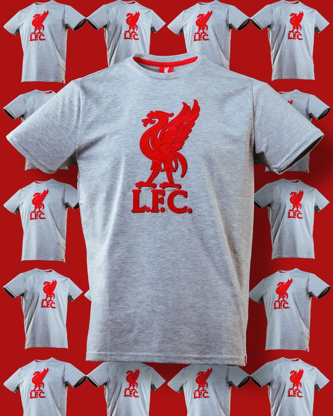 LFC Mens Liverbird Applique Tee Grey – Weston Corporation