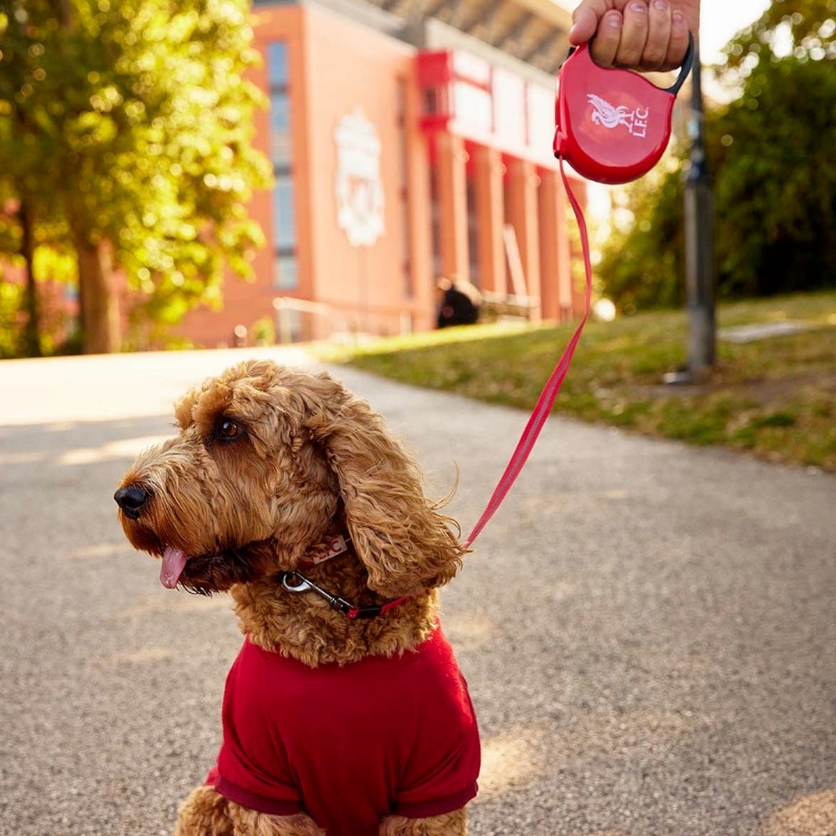 LFC Hi-Vis Dog Lead – Weston Corporation