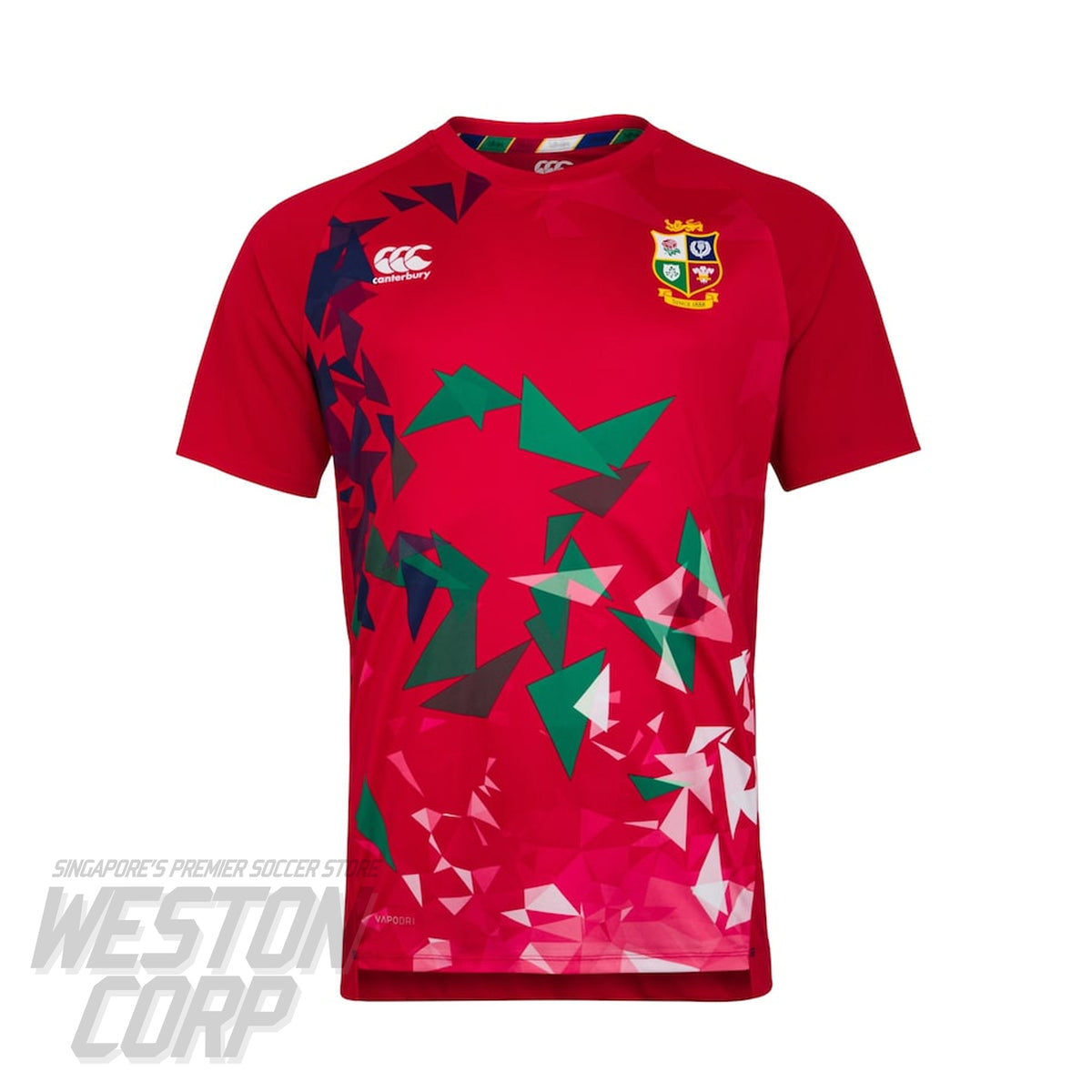 British Irish Lions 2021 Men's Graphic Superlight T-Shirt (Red ...